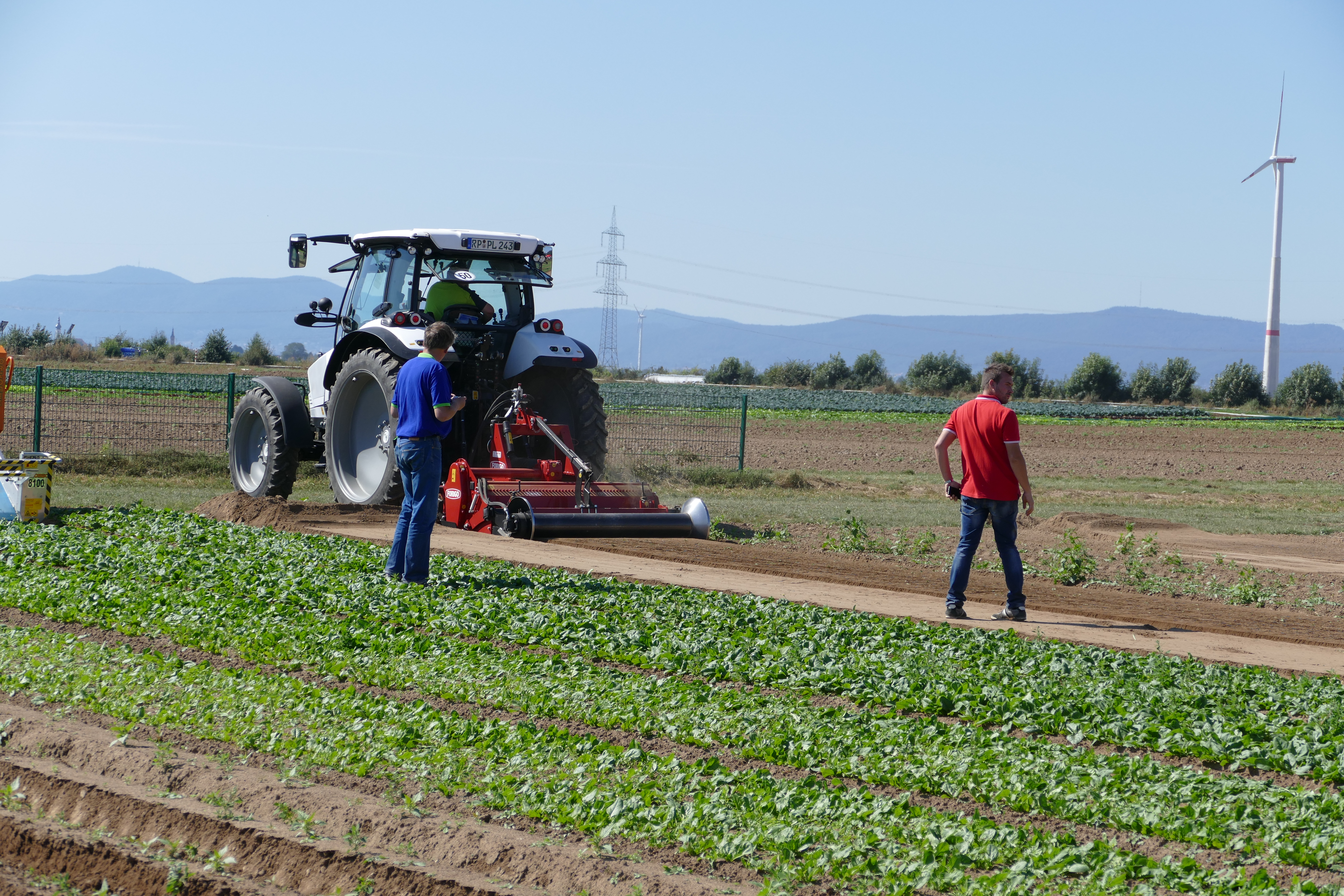 Feldtag im Gemüsebau - Agrarökologie